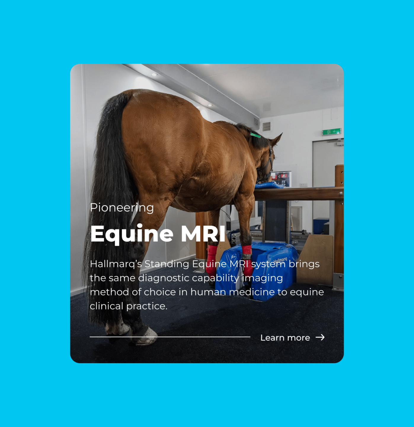 Hallmarq - Lightflows